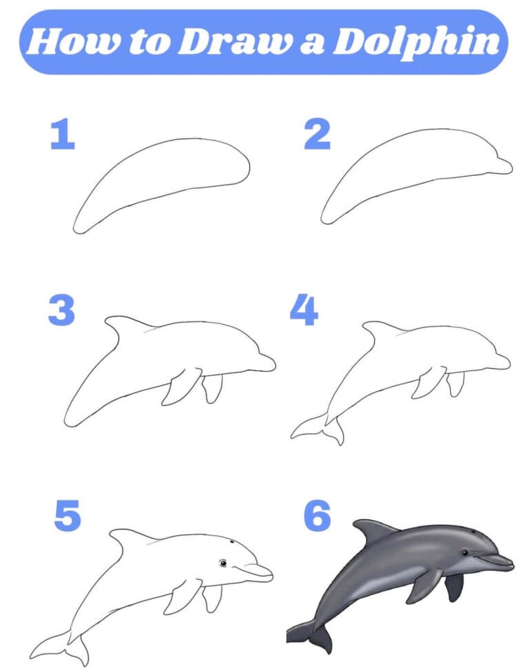 How to Draw a Dolphin - Easy Step-by-Step Guide for Kids