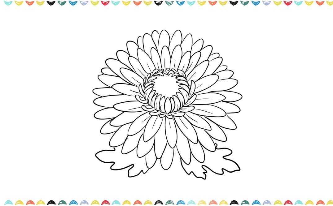 How to Draw a Chrysanthemum - Easy Step-by-Step Flower Drawing