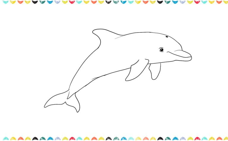 How to Draw a Dolphin - Easy Step-by-Step Guide for Kids
