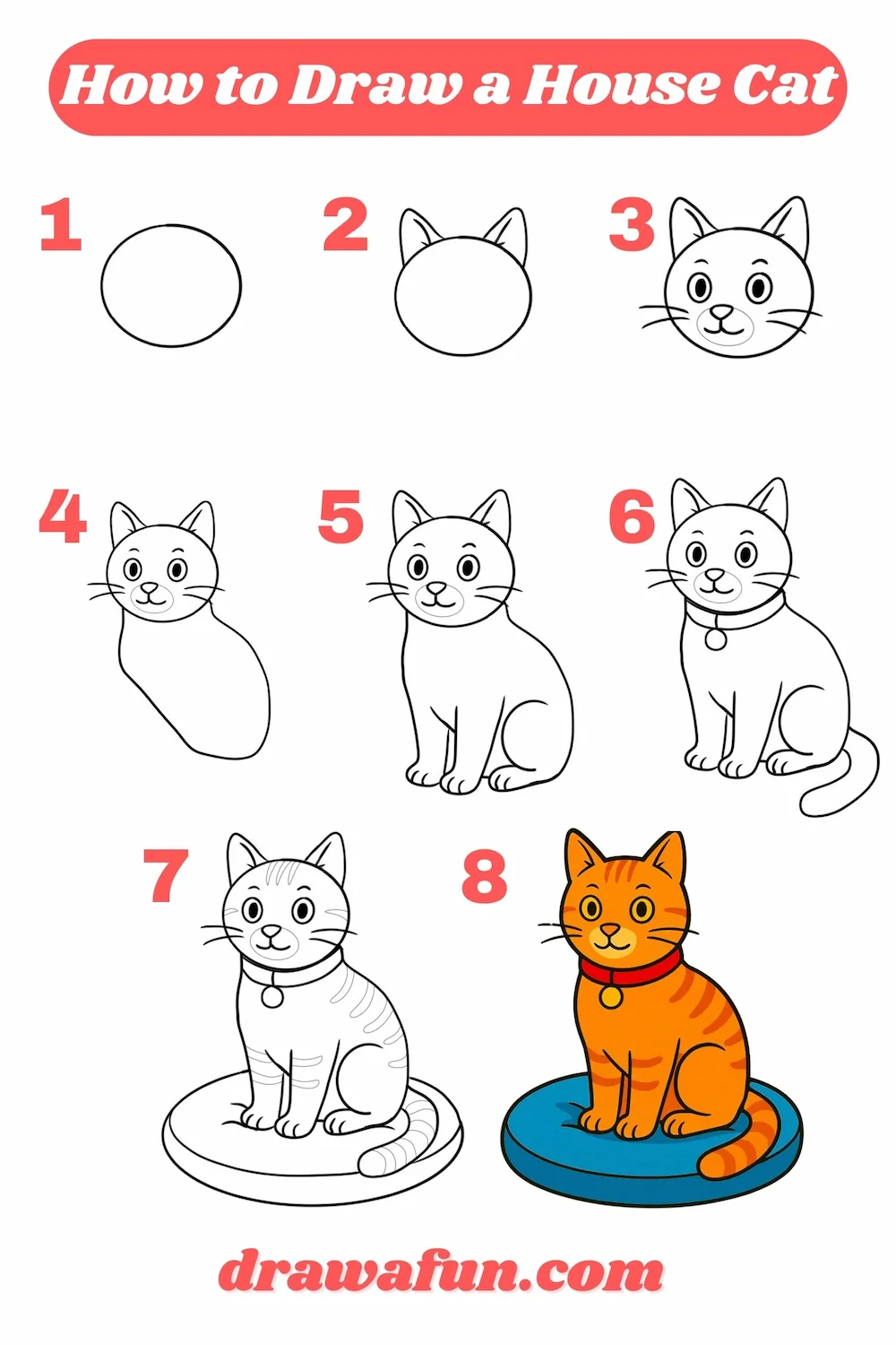 How to Draw a House Cat - Easy Step-by-Step Tutorial