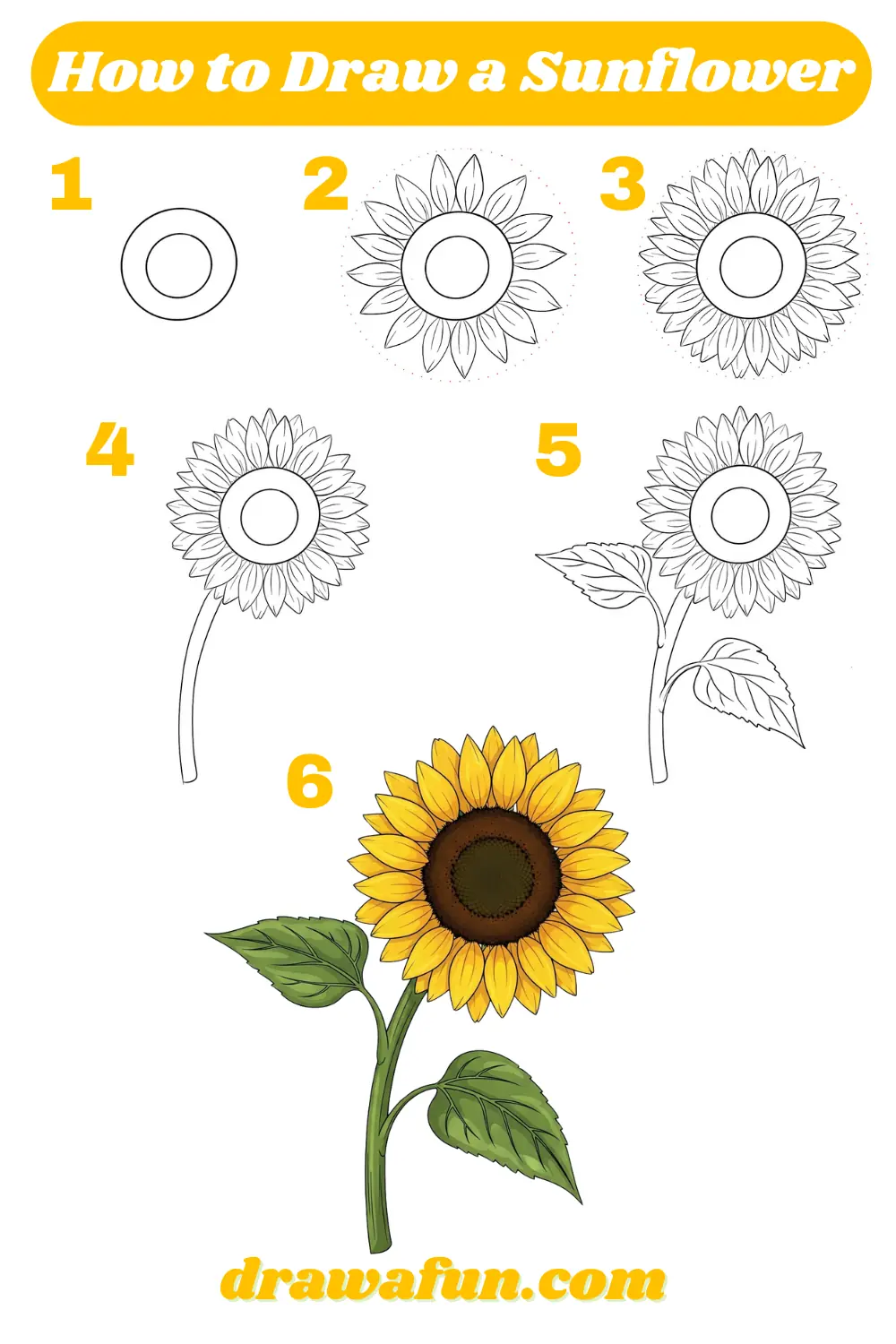 How to Draw a Sunflower - An Easy Step-by-Step Guide
